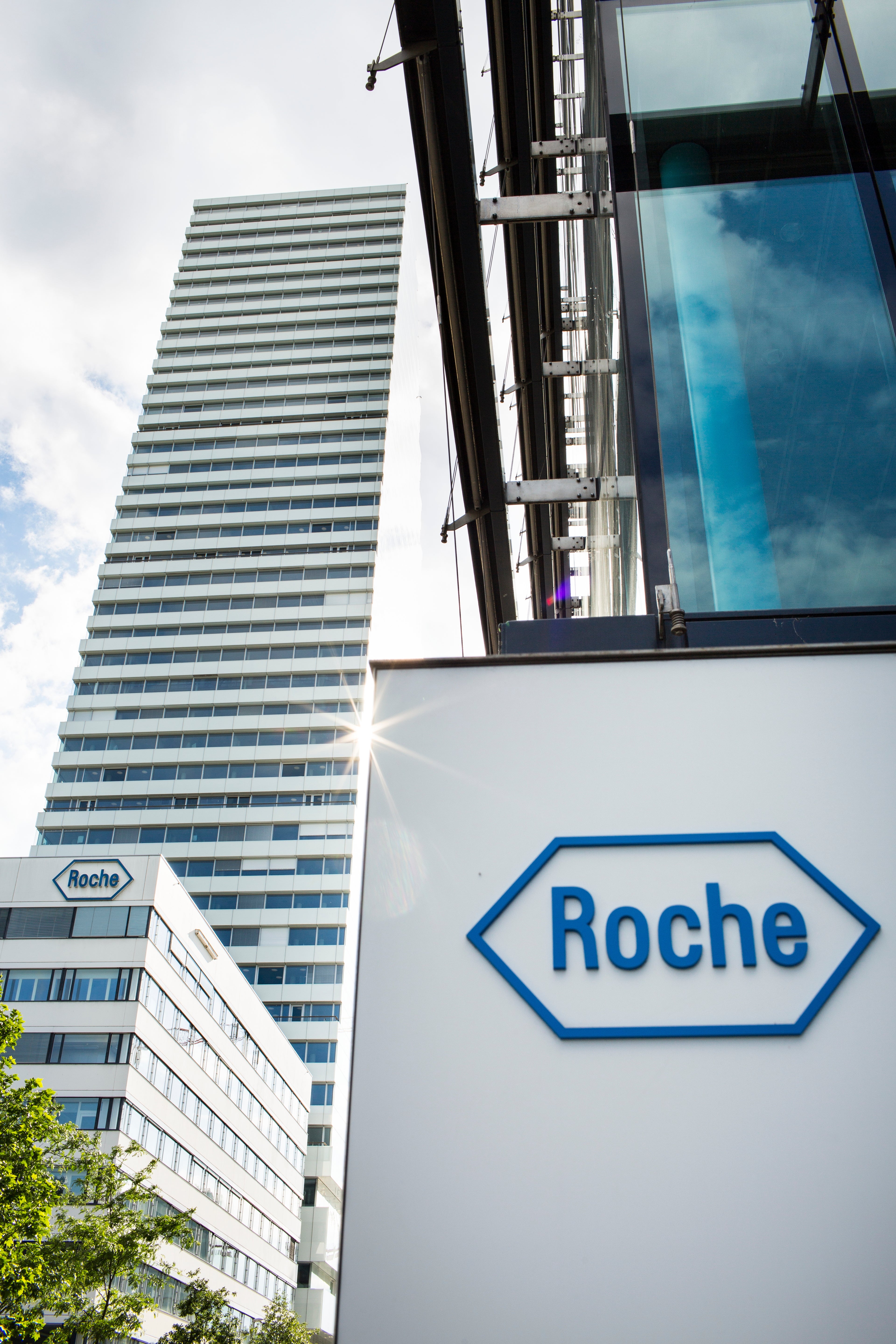 Was Roche aktuell von Novartis unterscheidet | The Market