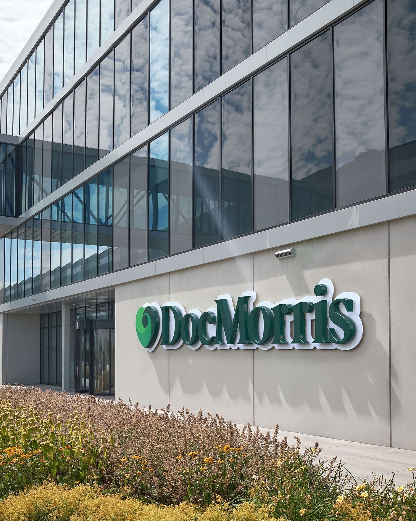 DocMorris bietet auf tiefem Niveau eine neue Chance